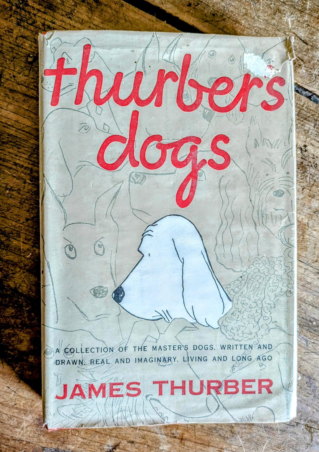 Vintage Thurber's Dogs Book – 1950s Humor, Illustrated Classic - Etsy
