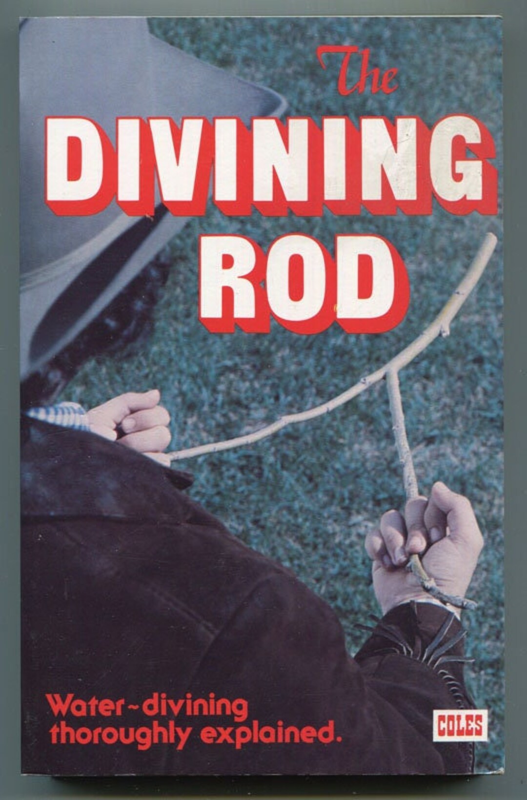 The Divining Rod: Water-divining Thoroughly Explained by William ...