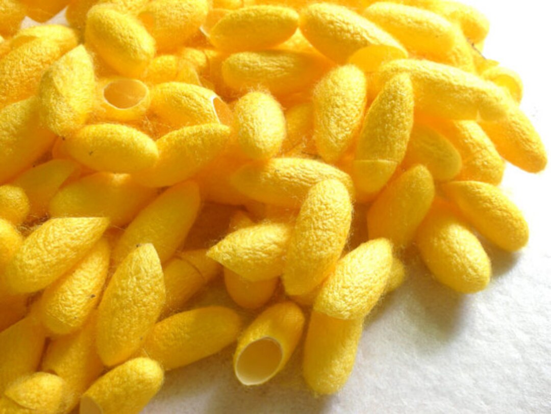 Organic Natural Gold Silk Cocoon for Cleanser Facial Massage & Scrub - Etsy