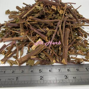 80 Grams Cats Whiskers Orthosiphon Stamineus Grandiflorus Bolding Java ...