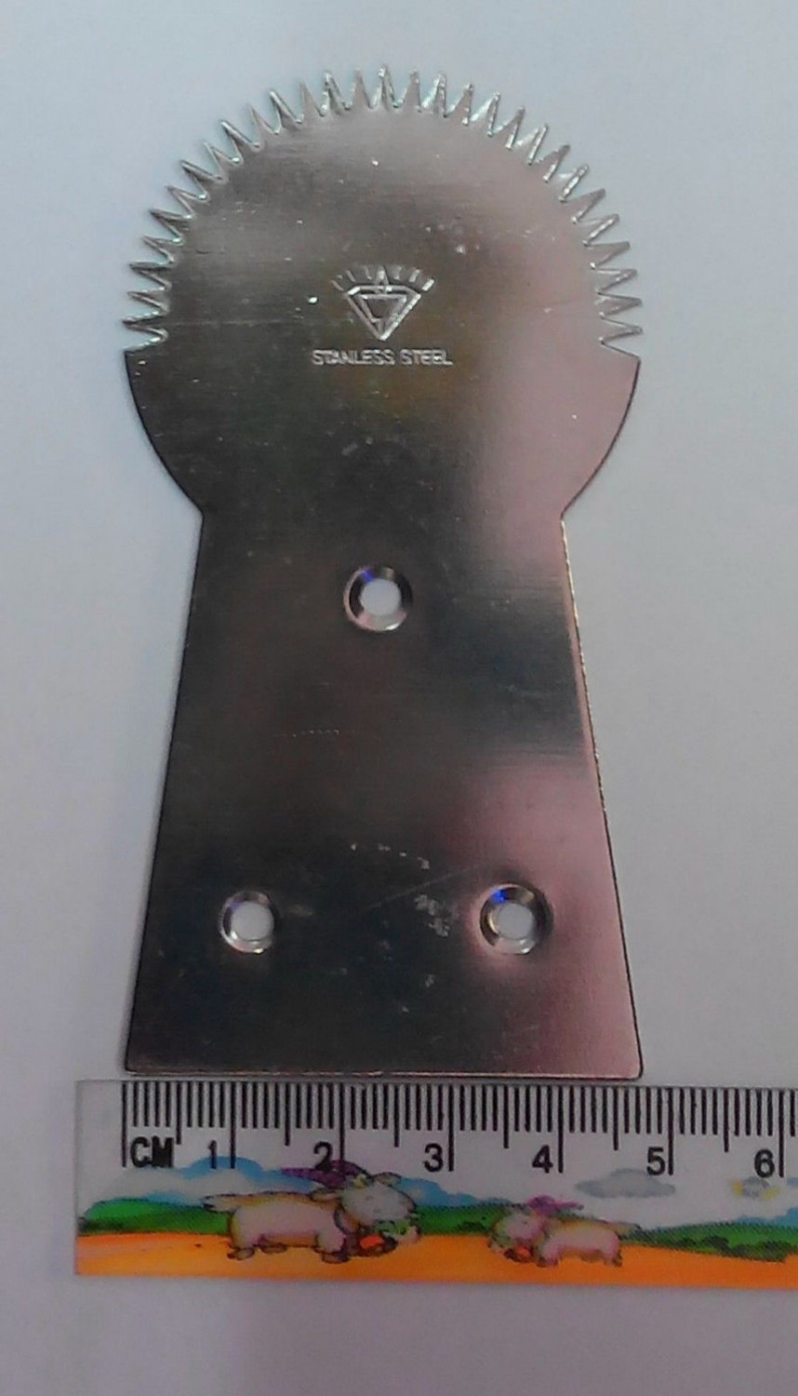 2 Pcs Teeth Coconut Grater Stainless Steel Kitchen Coconut - Etsy Canada