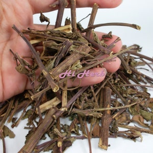 80 Grams Cats Whiskers Orthosiphon Stamineus Grandiflorus Bolding Java ...