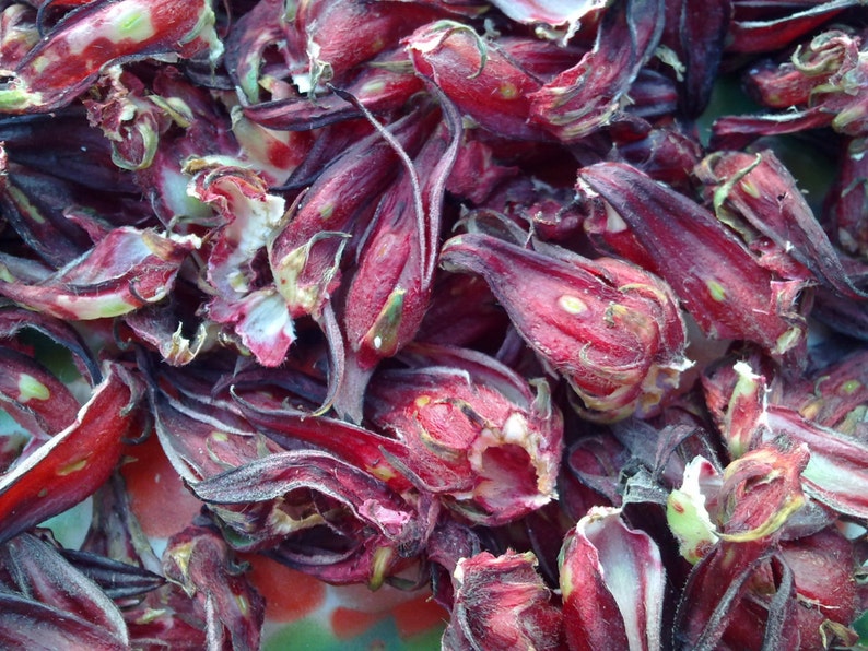 130 Grams Hibiscus Roselle Flowers Organic Red Tea Dried Herb - Etsy
