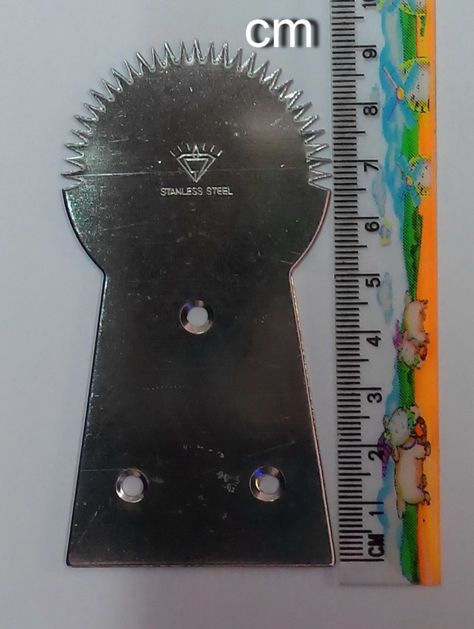 2 Pcs Teeth Coconut Grater Stainless Steel Kitchen Coconut - Etsy Canada