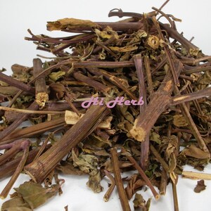 80 Grams Cats Whiskers Orthosiphon Stamineus Grandiflorus Bolding Java ...