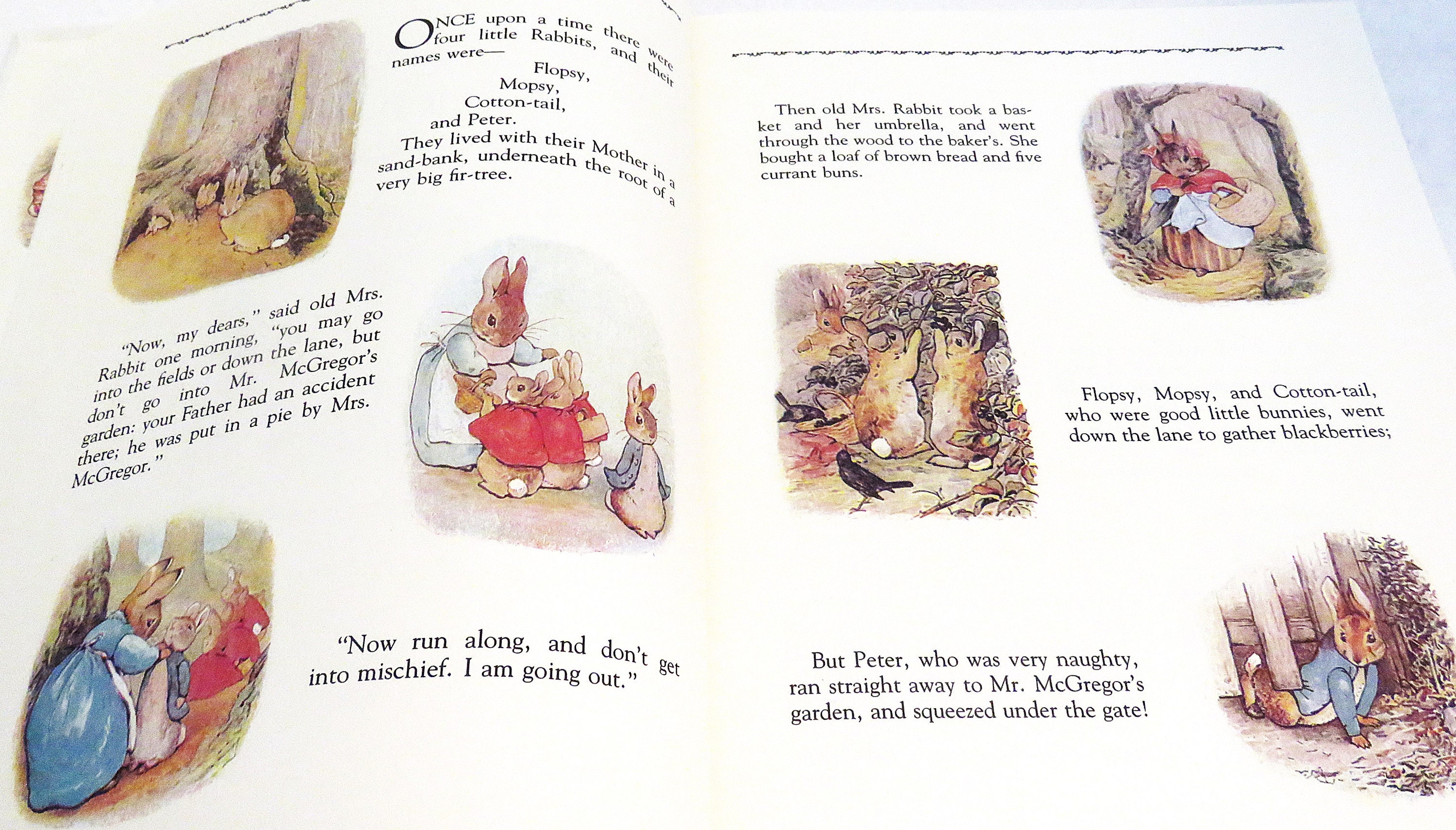 Giant Treasury of Peter Rabbit EIGHT Beloved Stories by Potter Benjamin ...