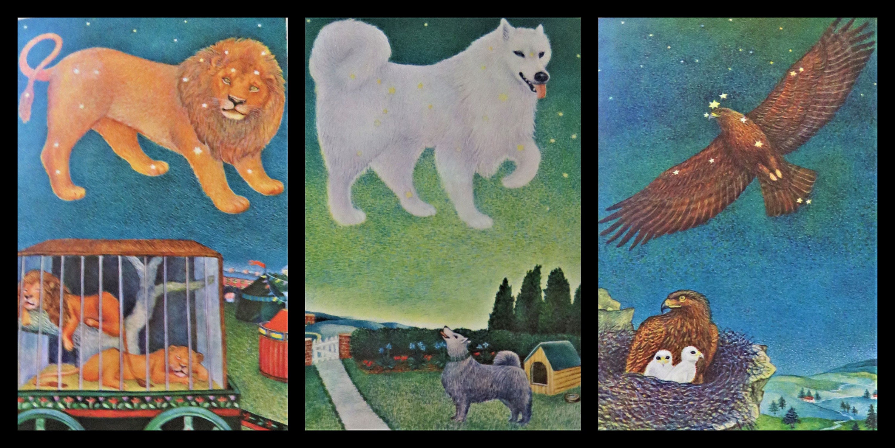 The Heavenly Zoo Legends and Tales of the Stars by Alison - Etsy