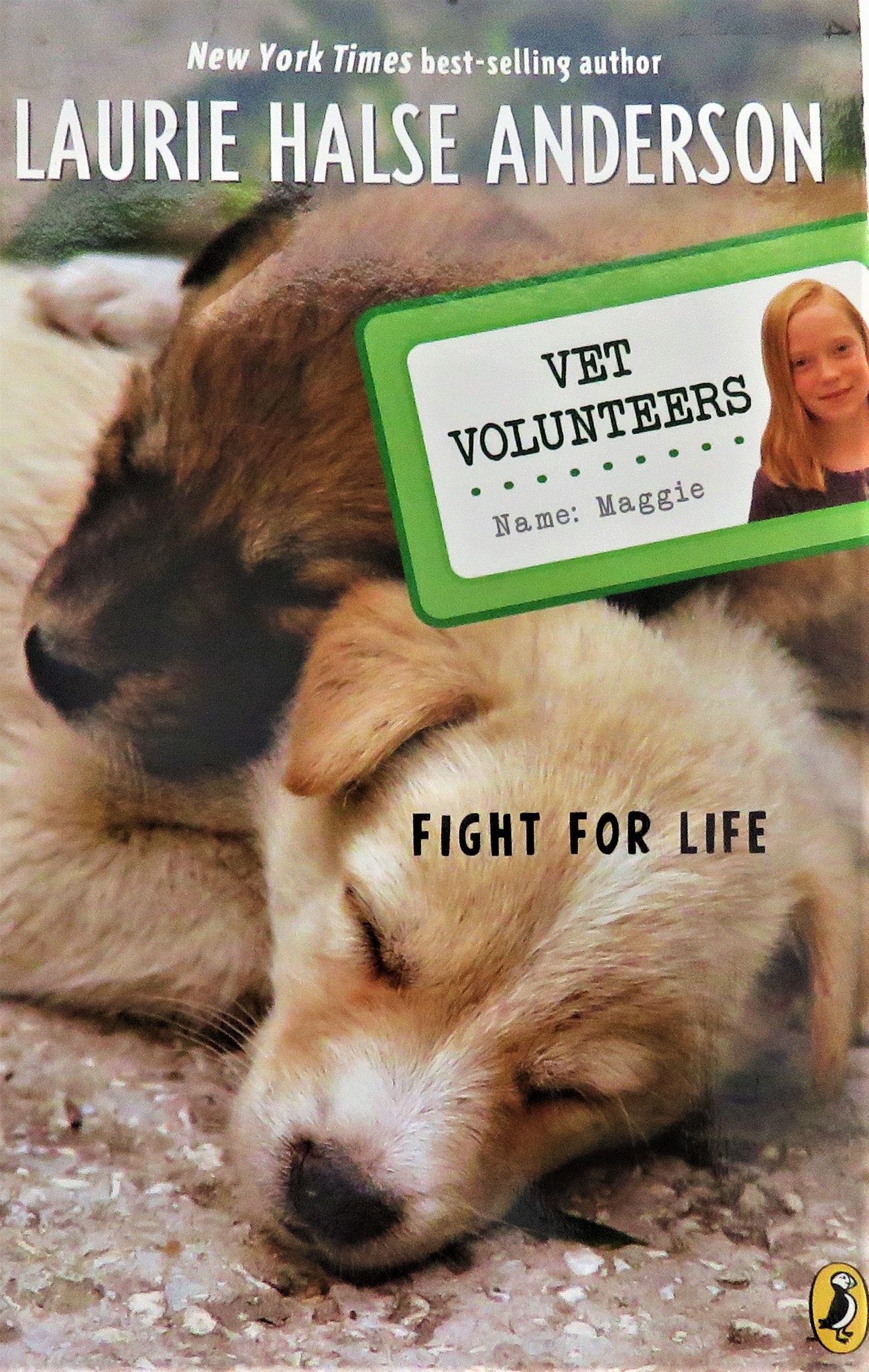 STEP FOUR Animal Chapter Books Lot of 7 Stories for Ages Grade - Etsy