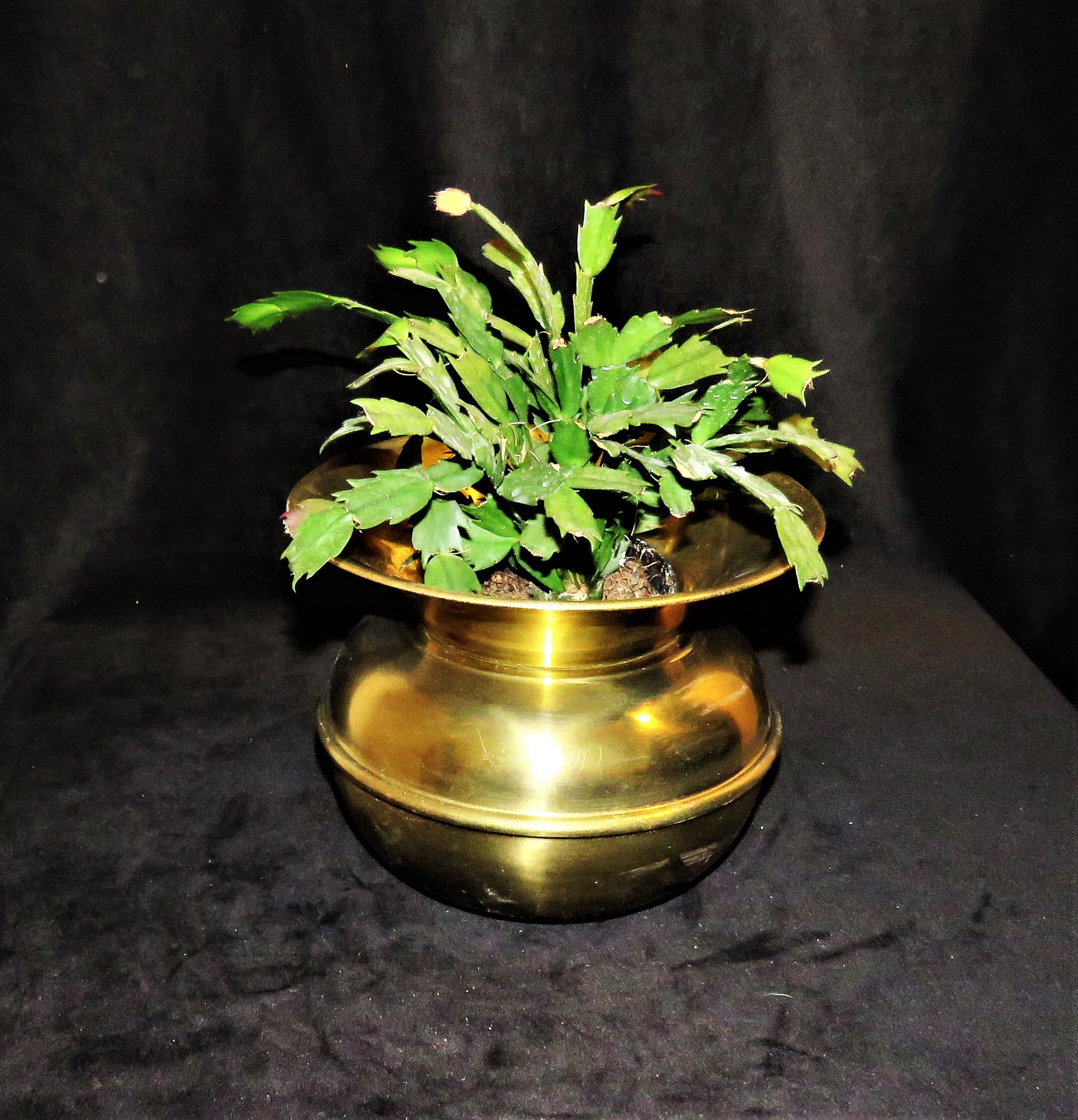 Vintage Brass Spittoon Use as Planter or Pencil Holder Office Decor ...