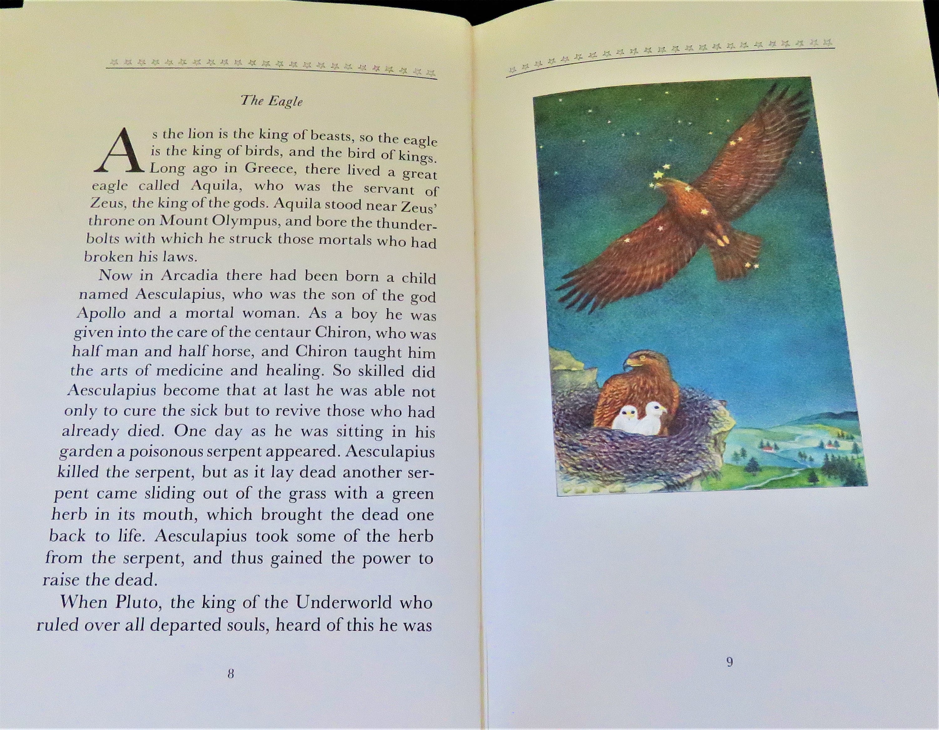 The Heavenly Zoo Legends and Tales of the Stars by Alison - Etsy