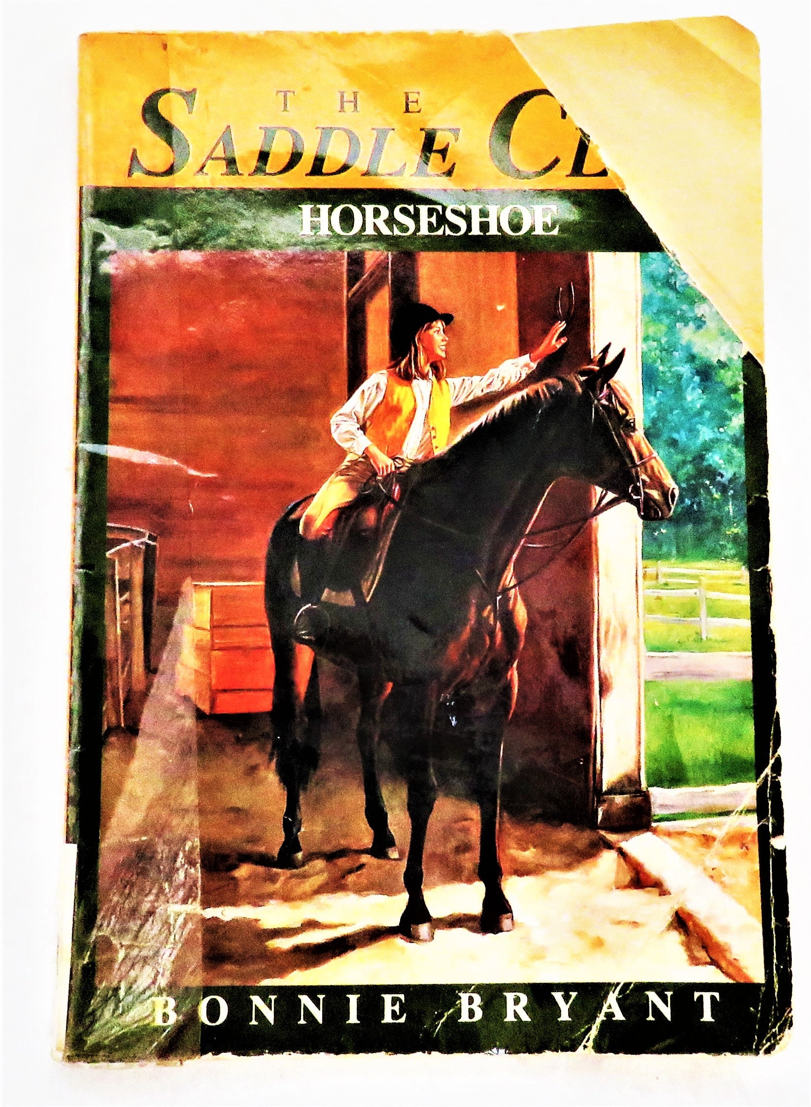 STEP FOUR Animal Chapter Books Lot of 7 Stories for Ages Grade - Etsy