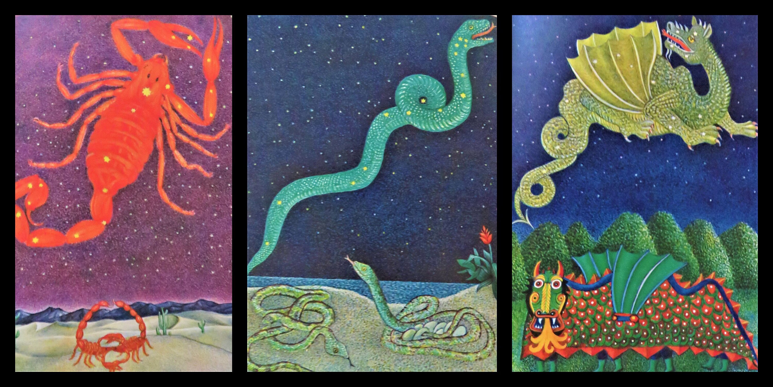 The Heavenly Zoo Legends and Tales of the Stars by Alison - Etsy