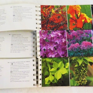 The GARDEN COLOR Book 343,000 Combinations for Your Garden by Paul ...