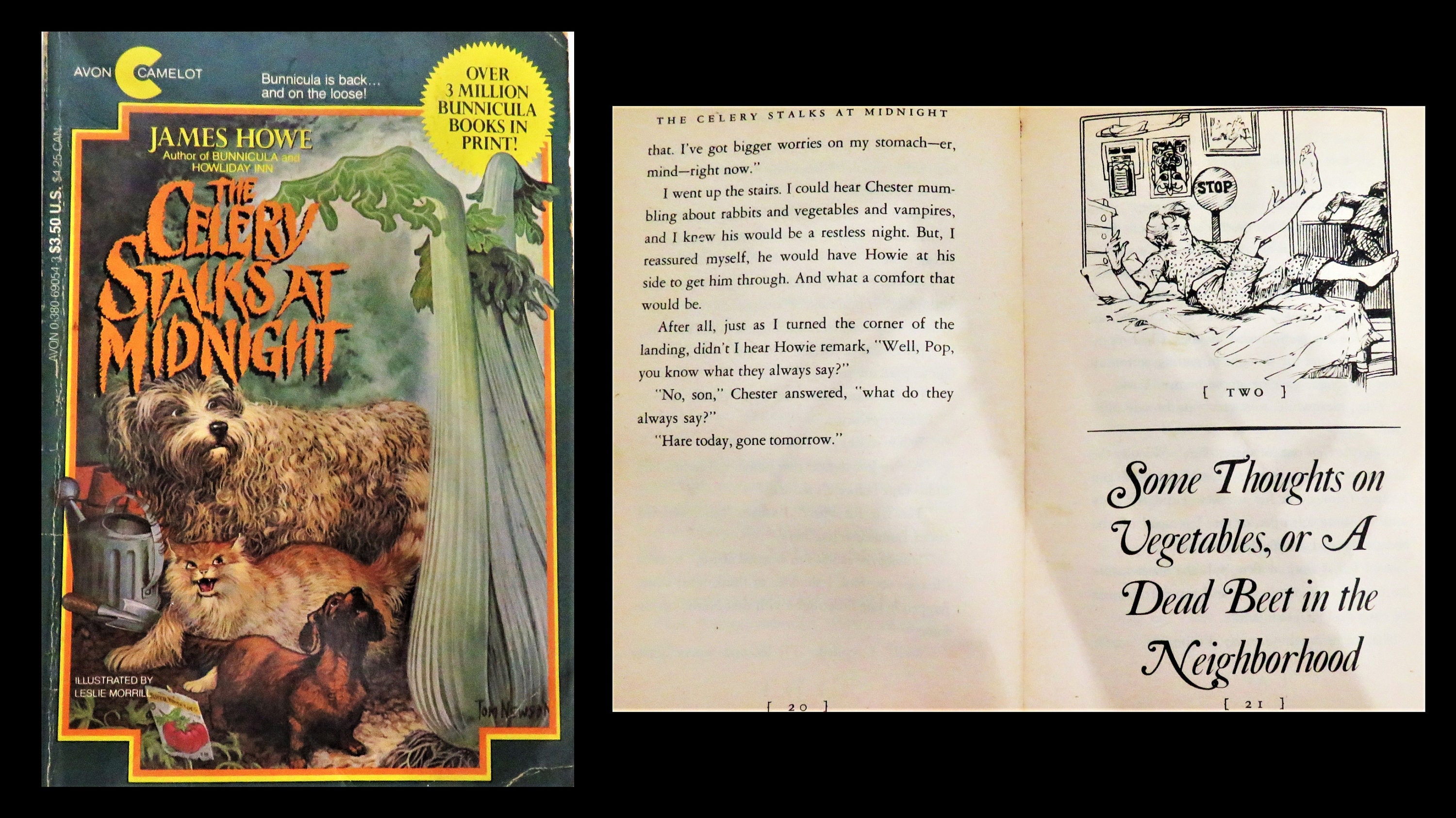 STEP FOUR Children's Books Set of 5 Level 4 Reading and - Etsy