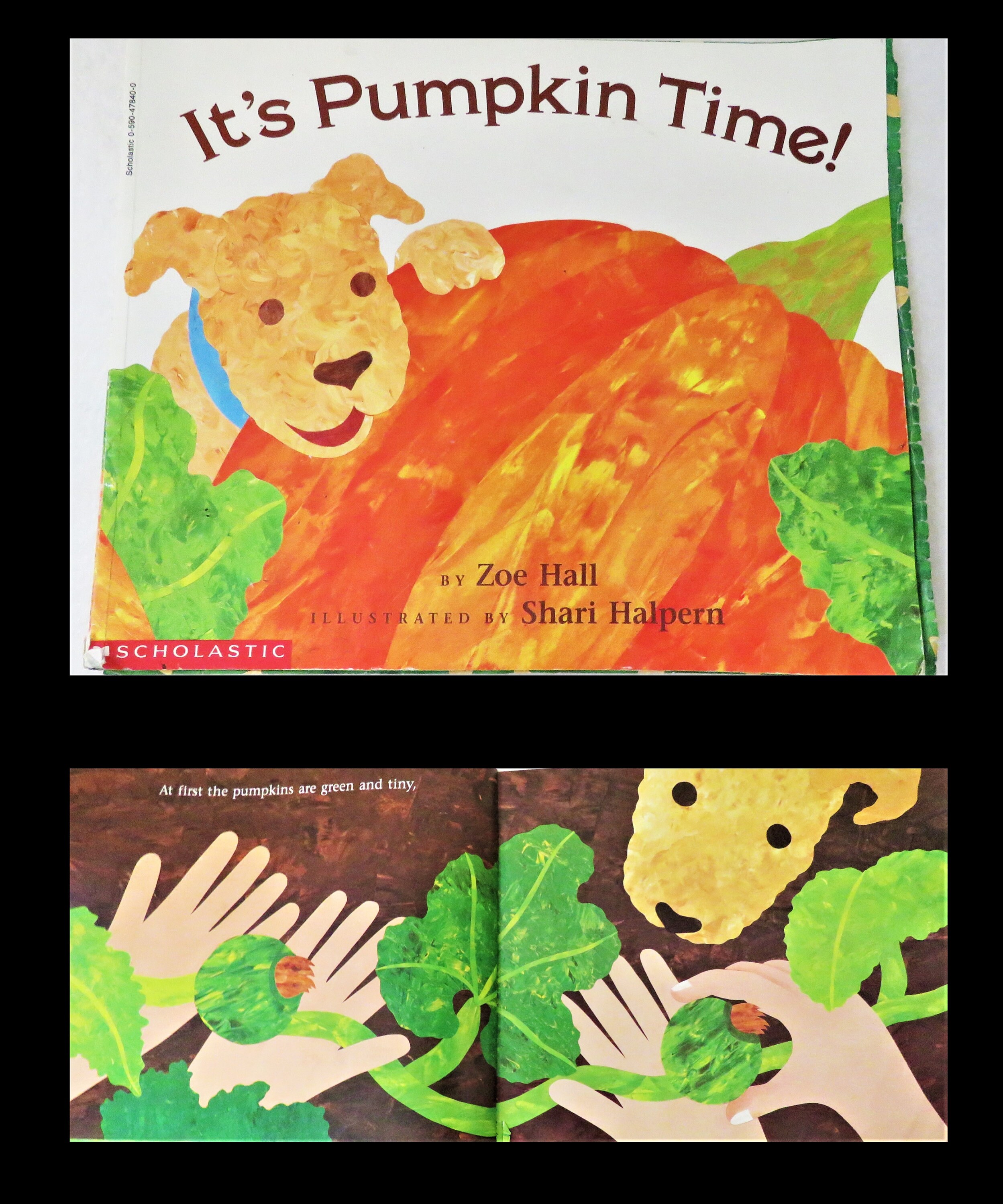 STORY / PICTURE Books for Preschool and Elementary Ages Set of 9 Story ...