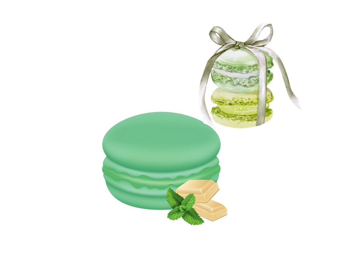 Mint Macaron Color, Color Palette, Mint Color, Mint, Ipad, Procreate ...