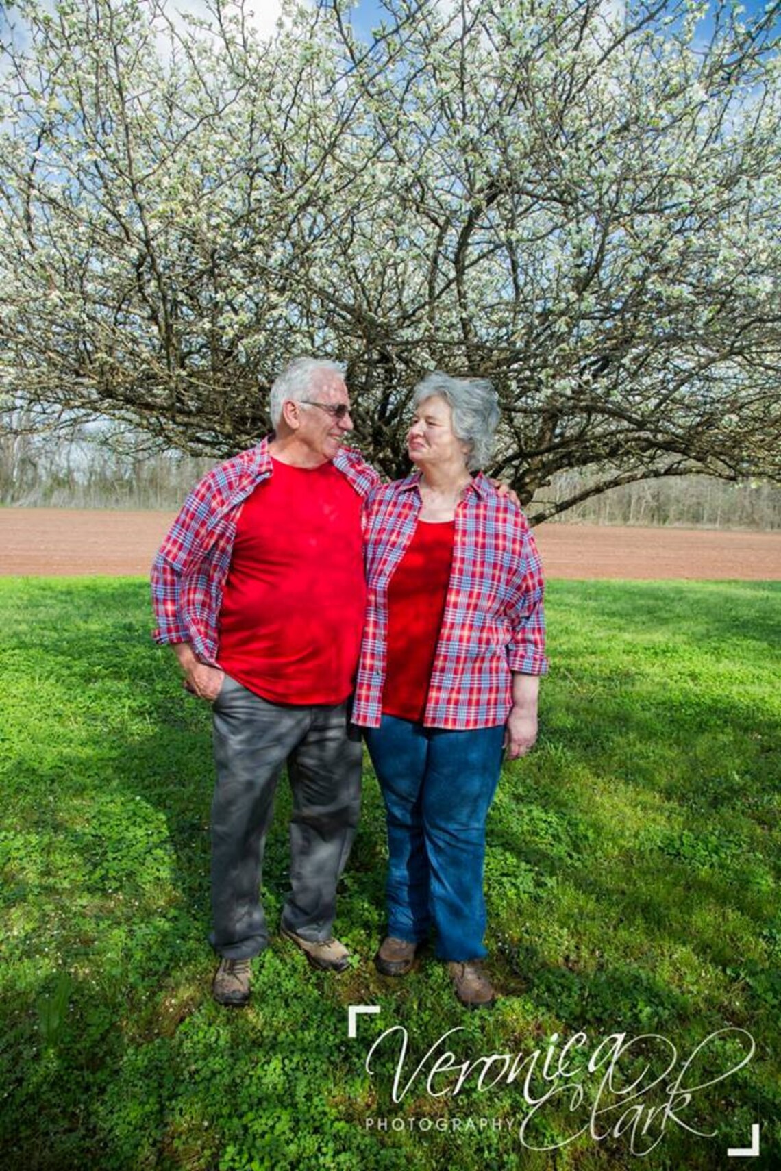 3 Jars Mayhaw Jelly // FREE SHIPPING in USA // Official Jelly - Etsy