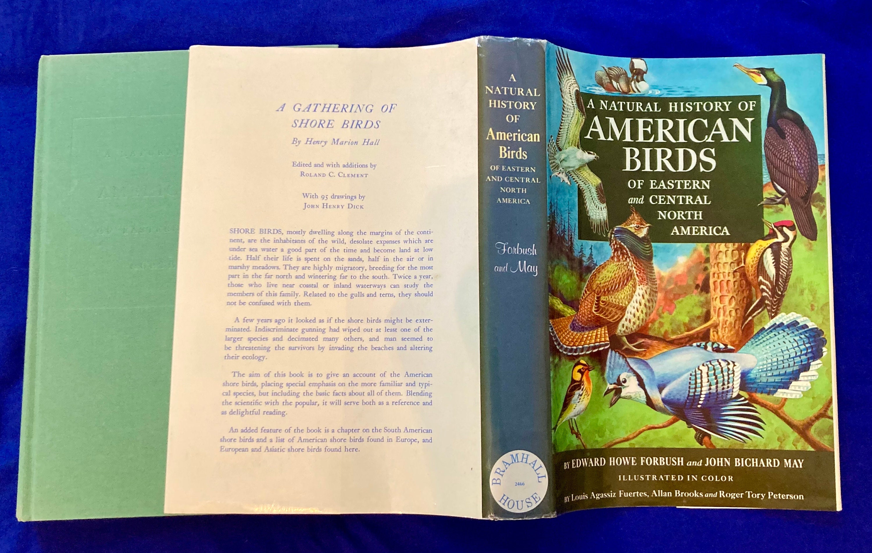 A Natural History of American Birds of Eastern and Central North ...
