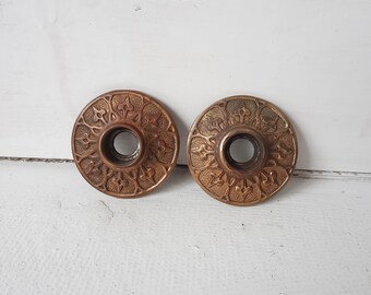 Pair of Eastlake Rosette Bronze Door Plates, Brass Flower Escutcheons ...