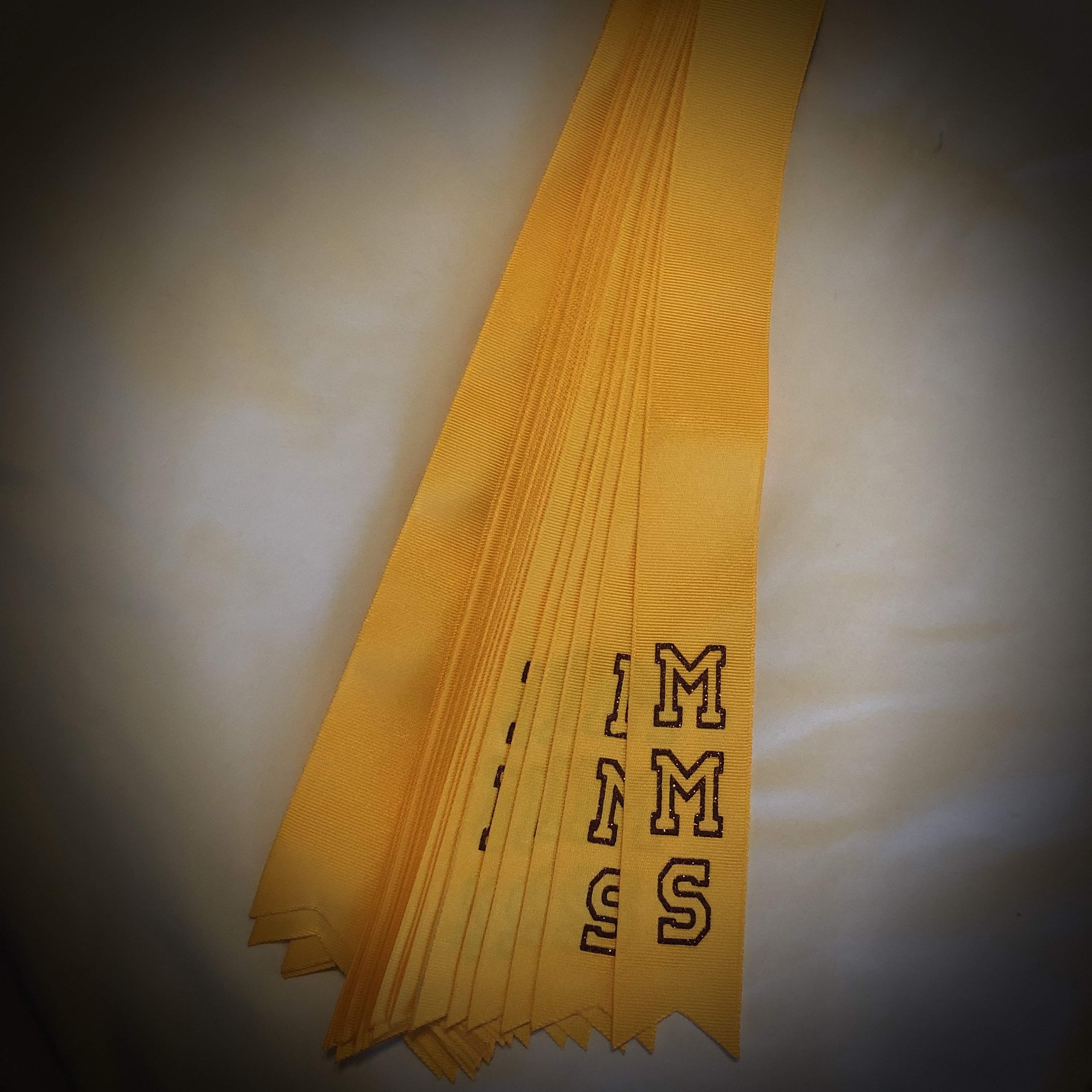 Cheer RIBBON DISCOUNTS Cheer Squad Ribbons Cheer Squad Bows | Etsy