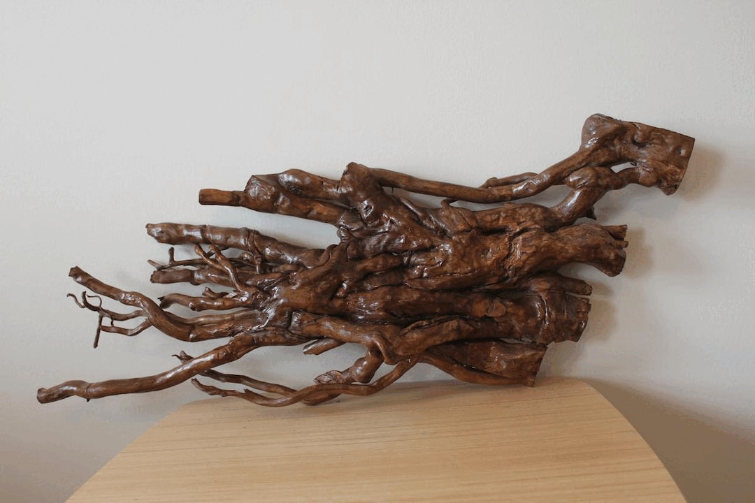 Tree Root Wall Art - Etsy