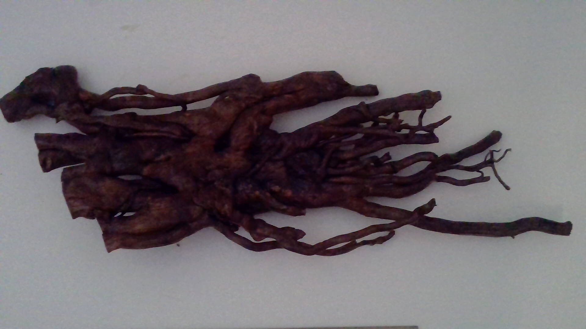 Tree Root Wall Art - Etsy