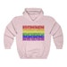LGBTQ Rainbow Pride Clothing, Rainbow Unisex Heavy Blend Hooded ...