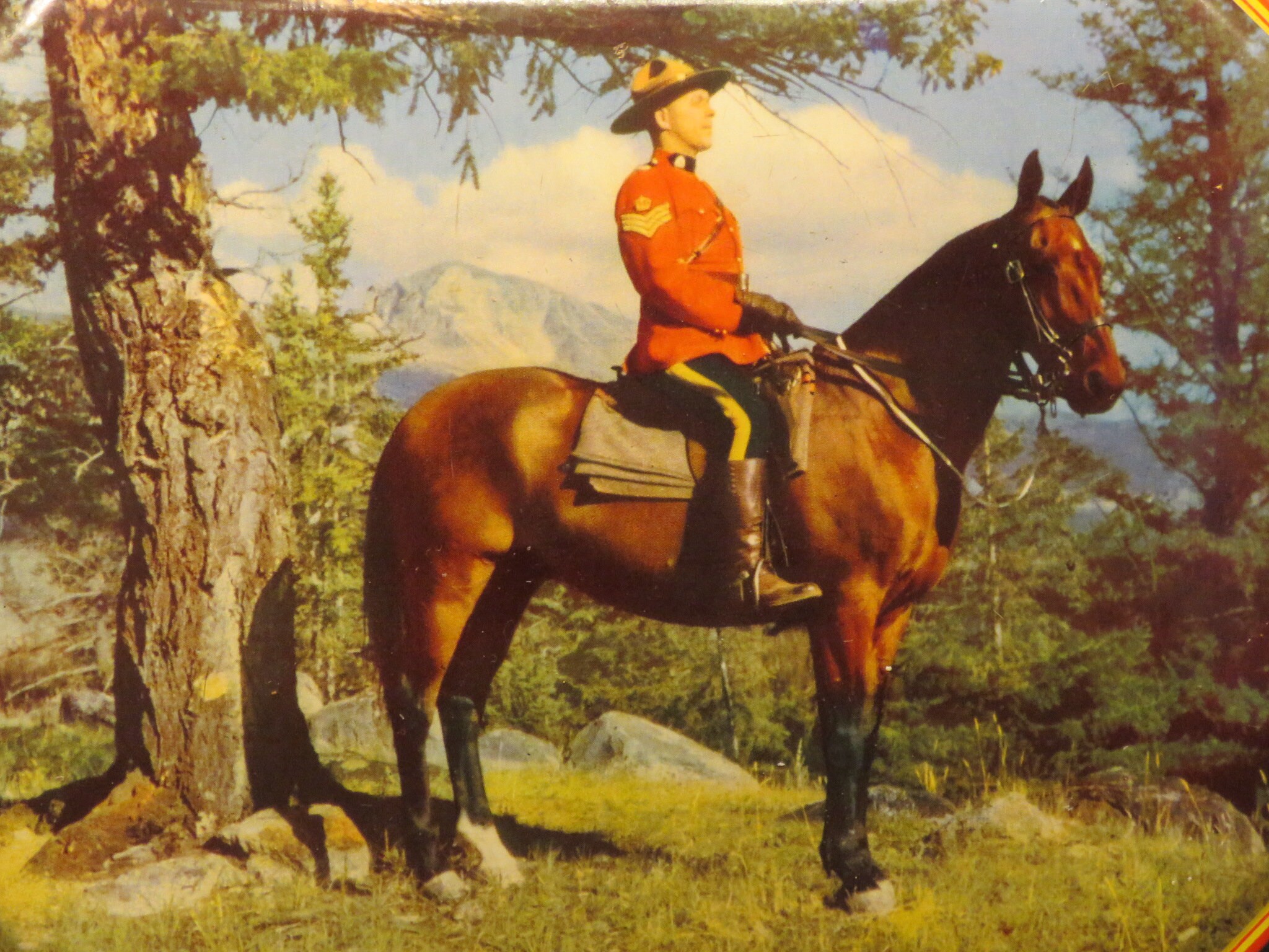 Vintage Riley's Toffee Tin, "canadian Mountie on Patrol", Halifax ...