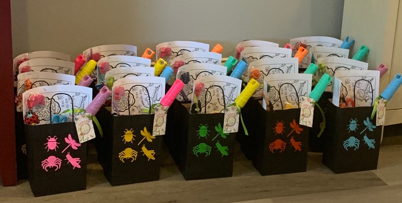 Bug Party Favor Bags - Kids Birthday, Insect Theme - Etsy