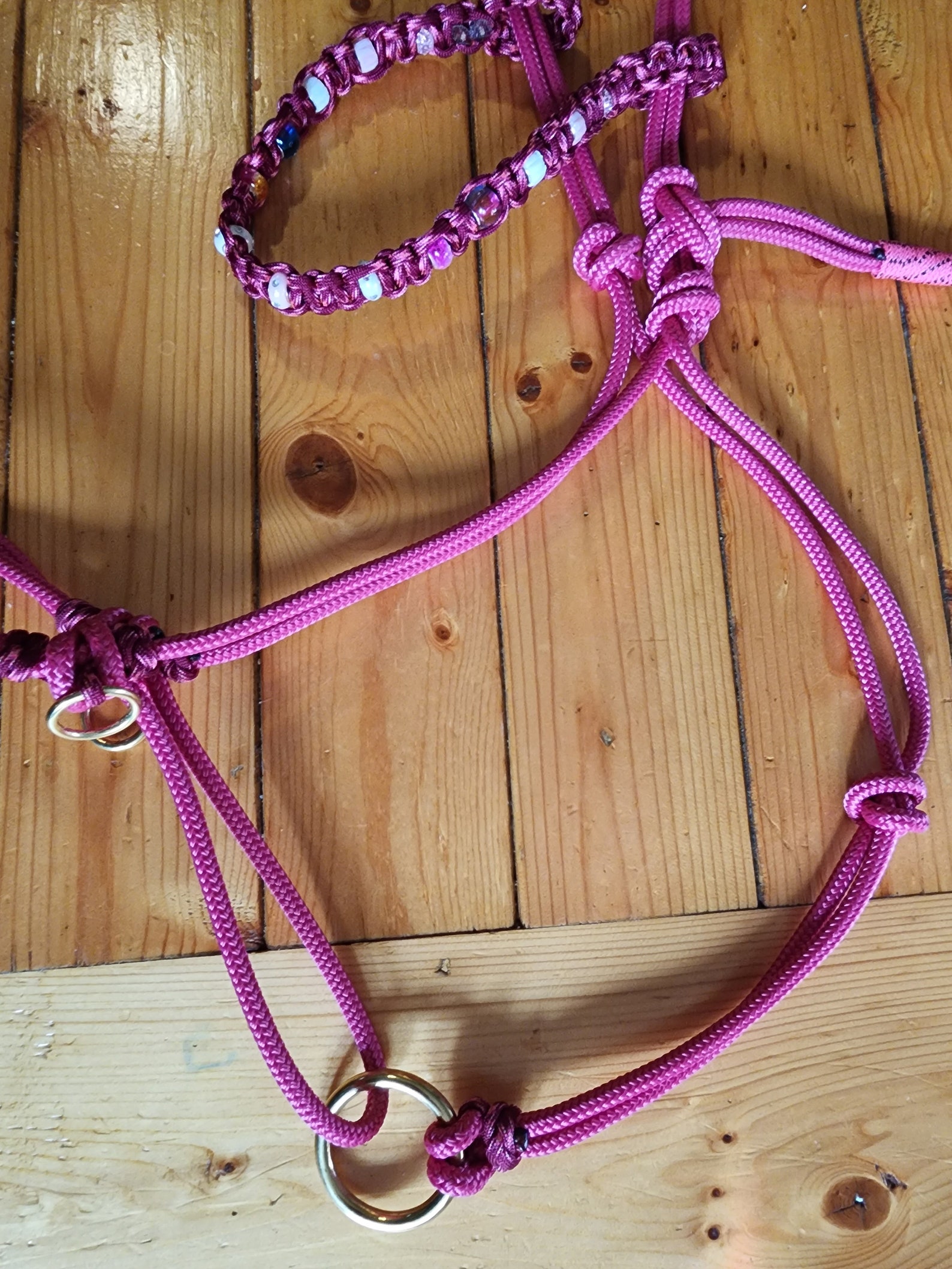 Bitless Sidepull Horse Halter Tack: Sliding Ring Rope Hackamore, Custom ...