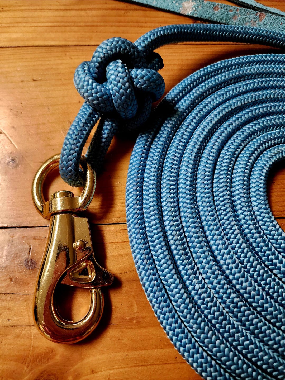 18ft Driving Line Baby Blue Horse Lead Rope Lunge Line-clinician Horse ...