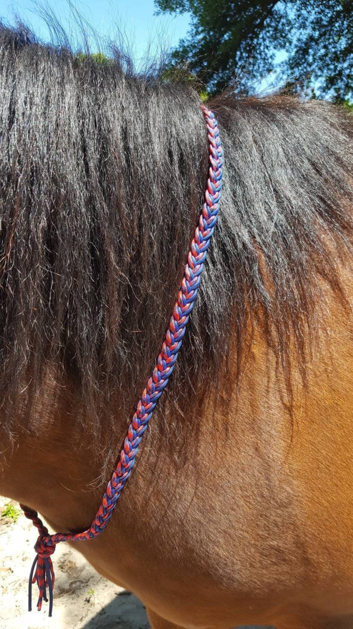 Braided Neck Rope Bridleless Neck Rope Paracord Braided | Etsy