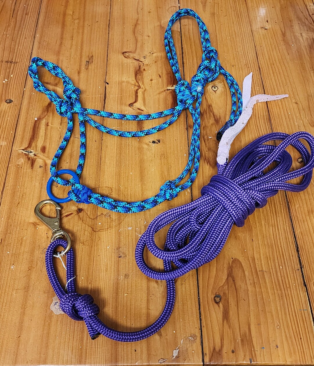 Sliding Ring Horse Halter With 18ft Clinician Lead Rope: Liberty ...