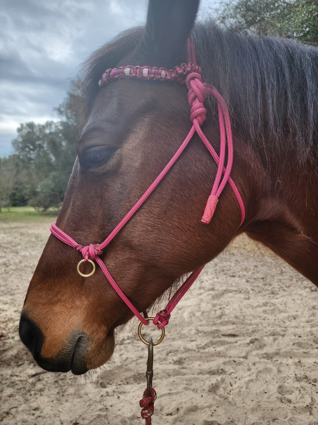 Bitless Sidepull Horse Halter Tack: Sliding Ring Rope Hackamore, Custom Fit to Your Horse - Etsy