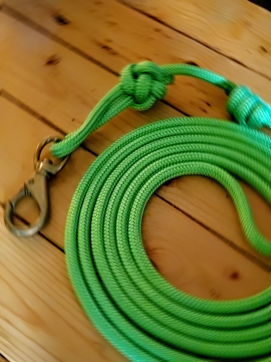 Horse 14ft Lead Rope Green Lunge Line 3/8-horse Training Lead Rope ...