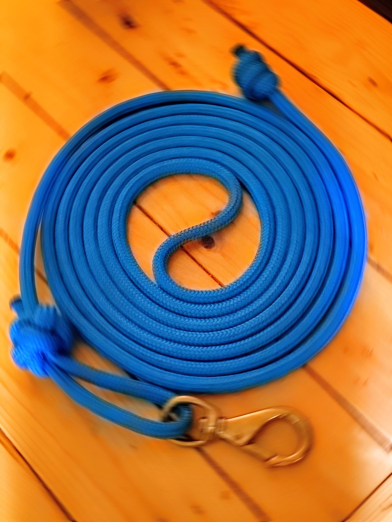 Lead Rope 14ft Blue Yacht Rope-horse Lunge Rope Clinician - Etsy