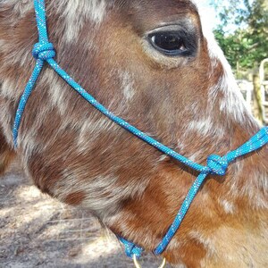 Bundle 3 Sliding Ring Rope Halter Save Big-bundle 3 Rope - Etsy