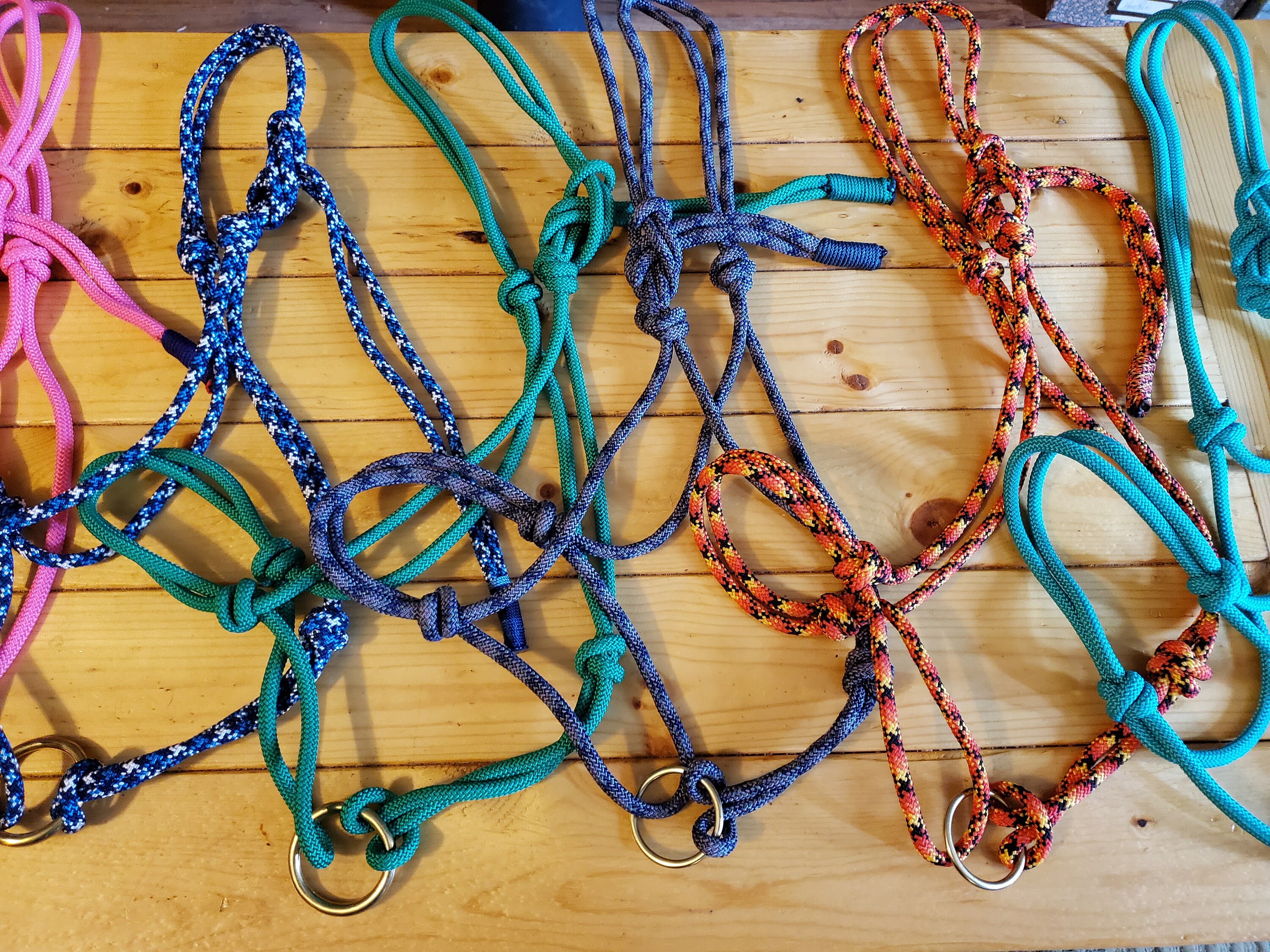 Bundle 3 Sliding Ring Rope Halter Save Big-bundle 3 Rope - Etsy