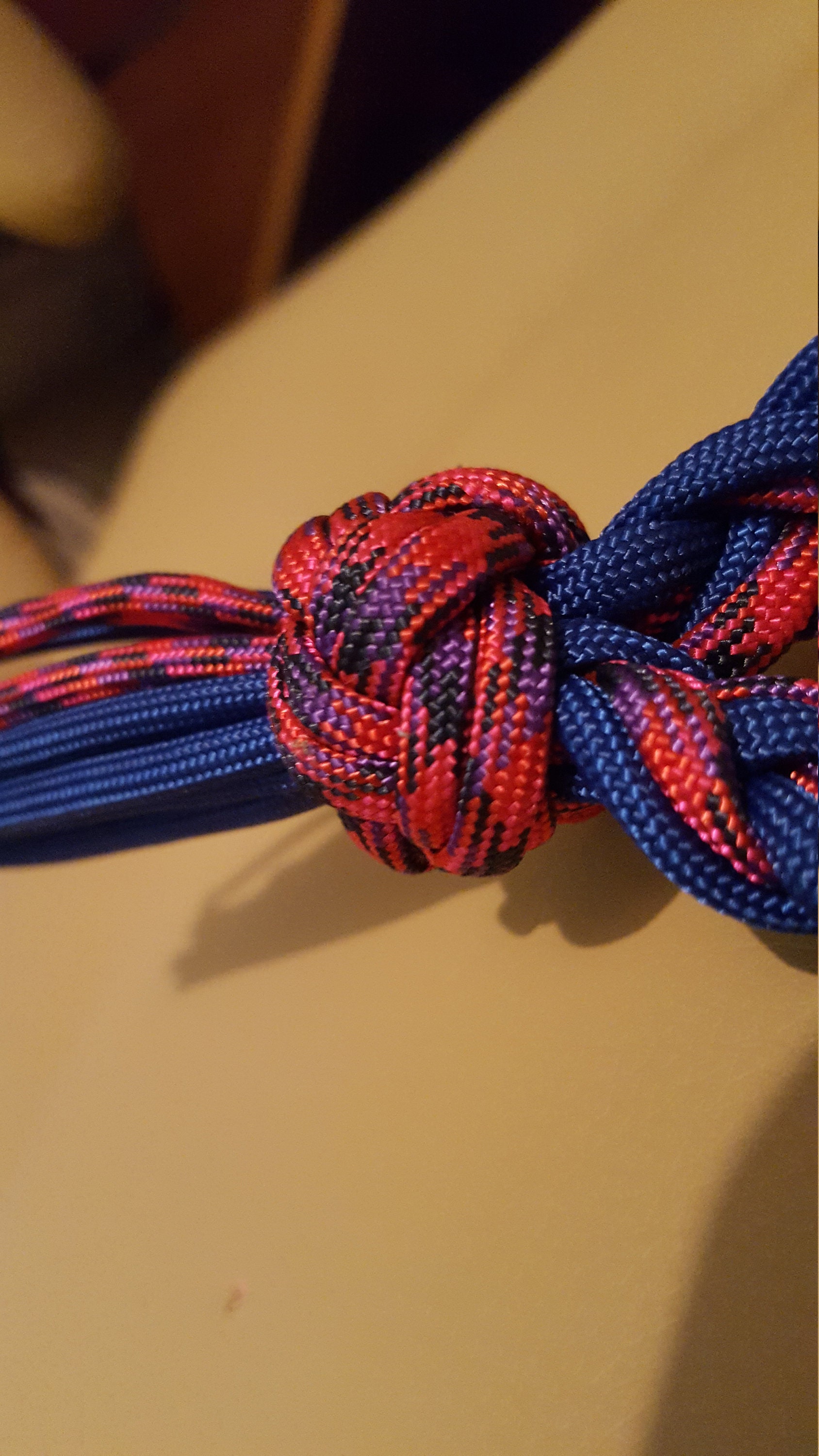 Bridleless Neck Rope Braided Neck Rope Paracord Braided | Etsy