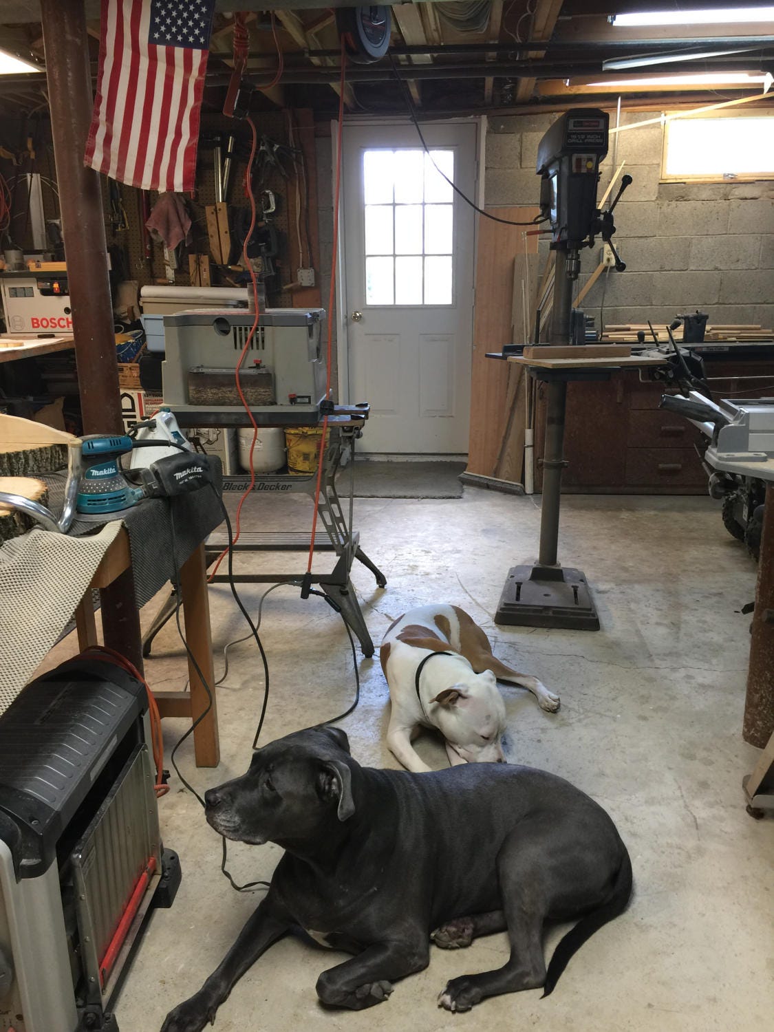 Wooden Rocking Dog // Il Cane // Handmade Artisan Rocking Dog - Etsy