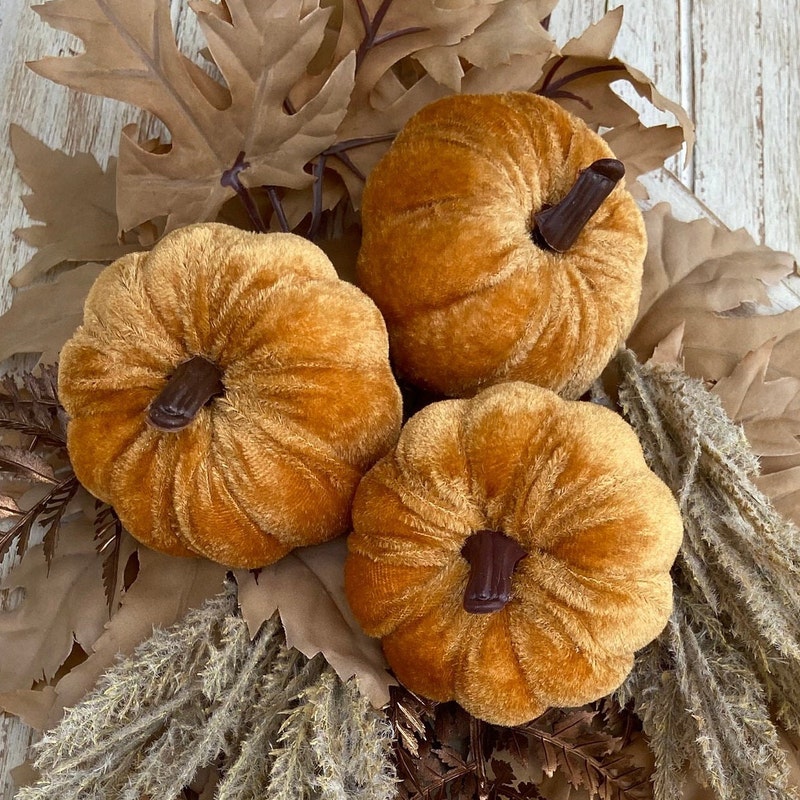 Velvet Pumpkins Pick - Etsy