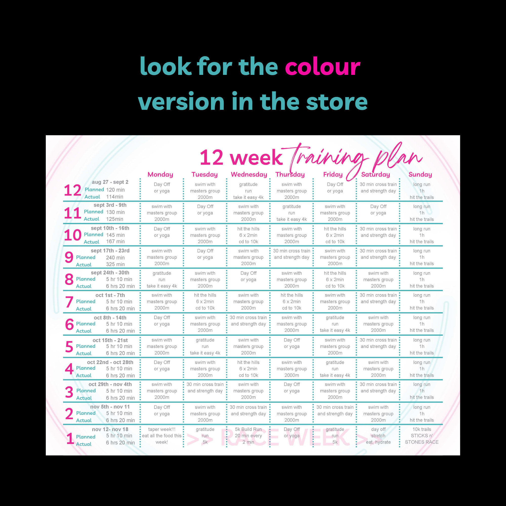 12-week Training Plan Template, Self Coached Athlete, Endurance Race ...