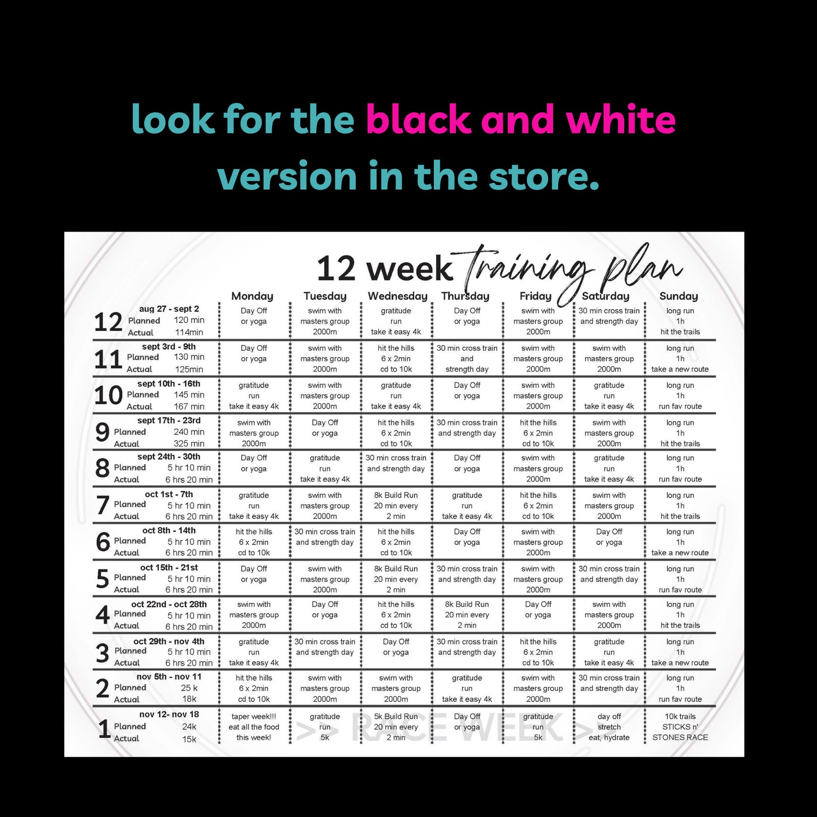 12-week Training Plan Template, Self Coached Athlete, Endurance Race ...