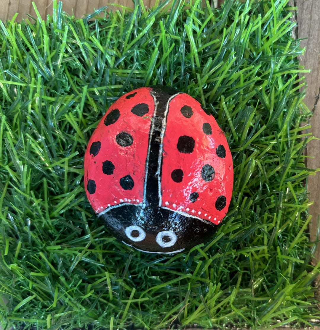 Lady Bug Hand Painted Rock - Etsy