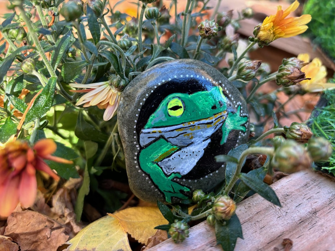 Frog Hand Painted Rock - Etsy