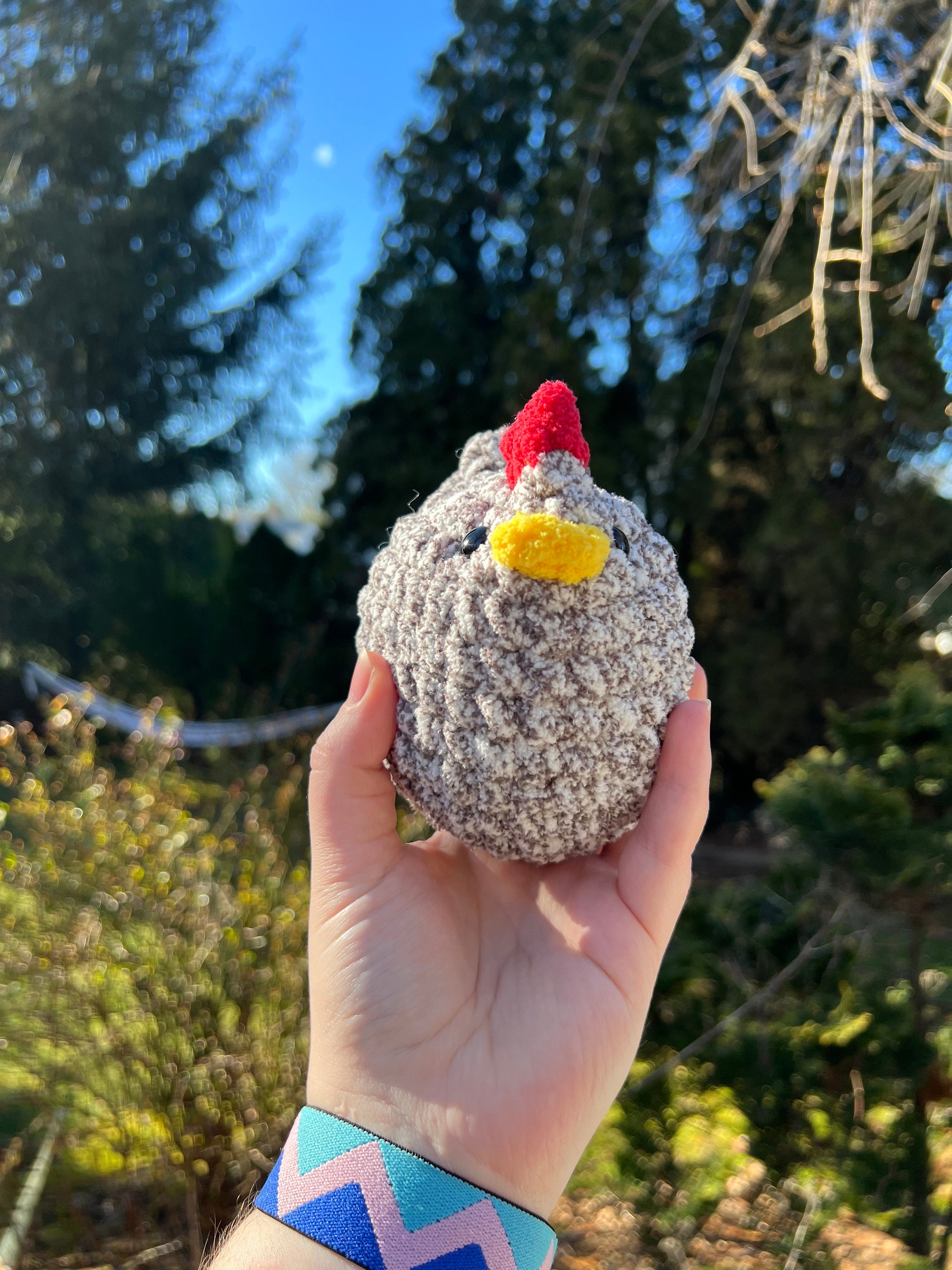 Adopt a Chicken - Charlotte the Chubby Chicken - Plush Crochet Hen ...