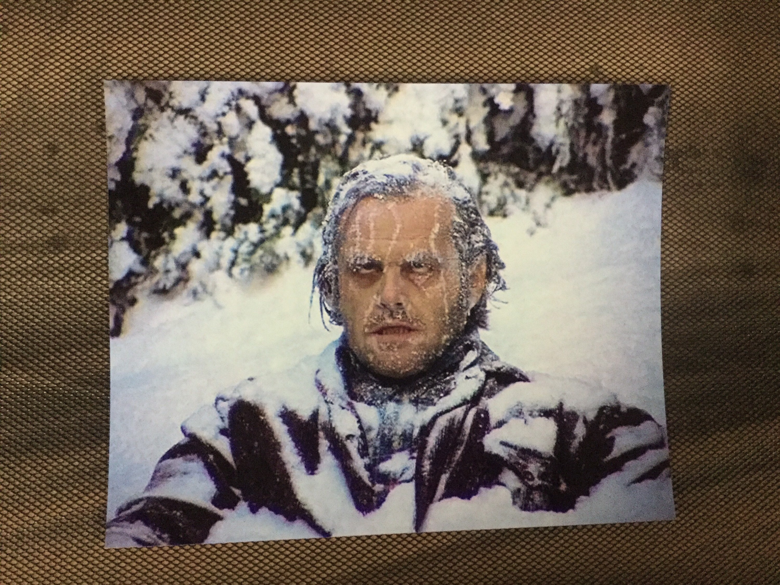 Jack Nicholson The Shining Frozen