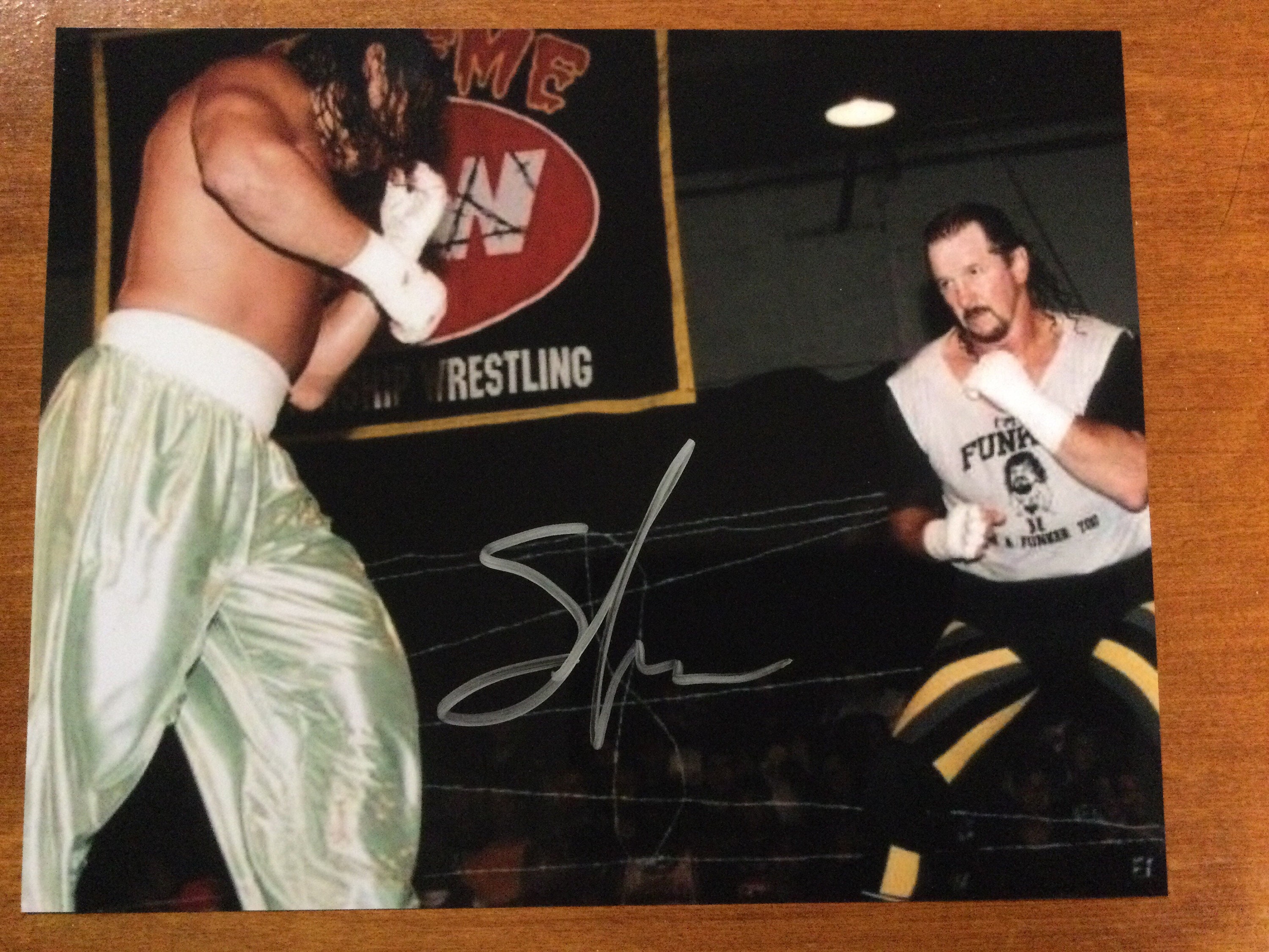 Terry Funk Ecw