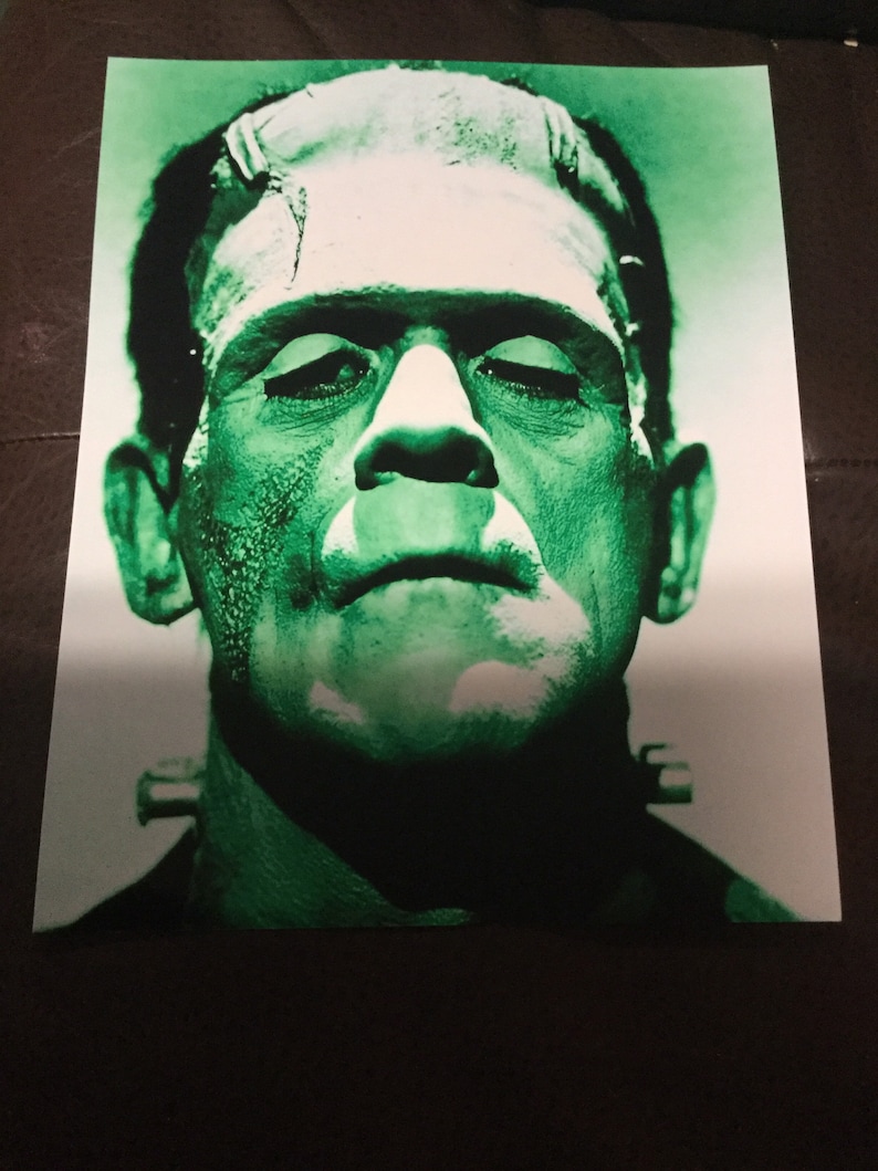 Frankenstein Monster Mary Shelley Boris Karloff Classic Universal ...