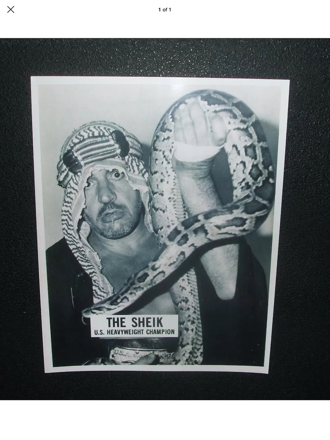 THE SHIEK Sheik Ed Farhat Detroit Wrestling Hardcore Legend 8x10 Photo ...